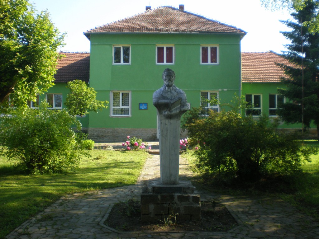 Osnovna škola "Marko Pajić" - Viča (Lučani)